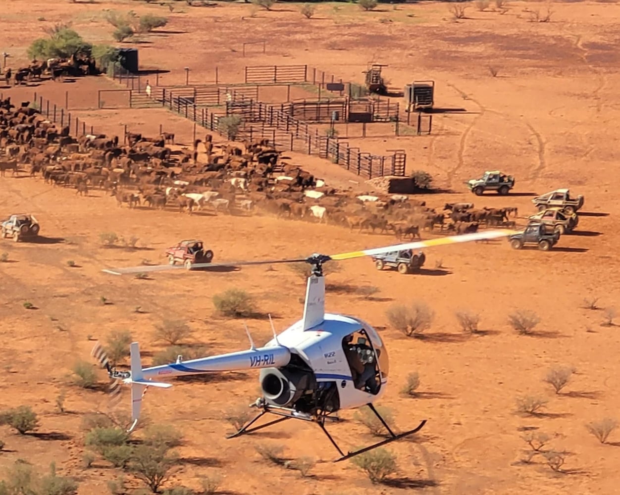 Windsocks Australia | Pastoral & Agricultural Windsocks